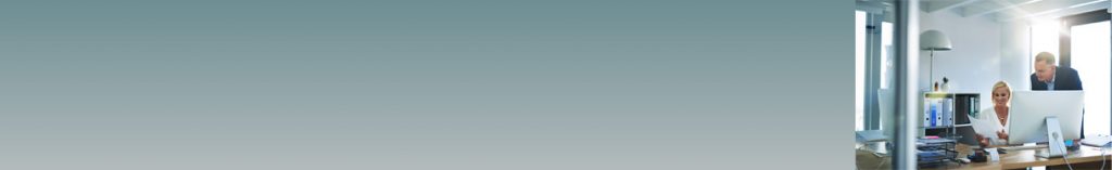 Online Reverse Auction Software from Epiq Software